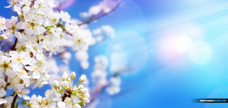 Song Of Solomon Contains An Amazing Reference To The Pretribulation ...