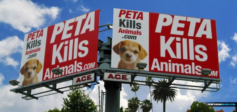 UNETHICAL: PETA Fined $50,000 After First Stealing Then Executing A 9 ...