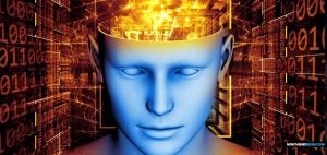 Technology Company Kernel Spending Millions To Microchip Humans To ...