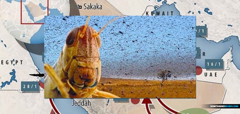 United Nations Warns That Billions Of Locusts Now Gathering On Both ...