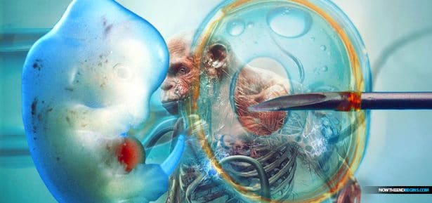 Transhumanism Archives • Now The End Begins