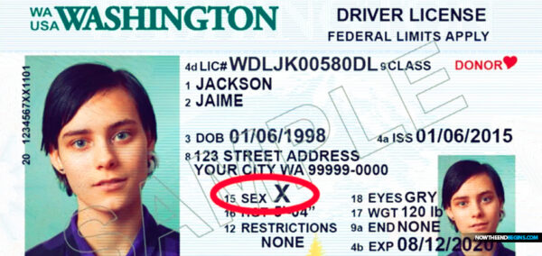 The United States Issues First Passport With X As A Gender