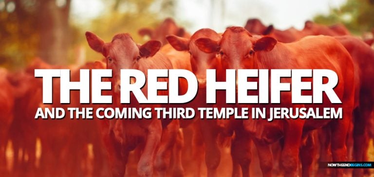 NTEB RADIO BIBLE STUDY: Everything You Need To Know About The Red ...