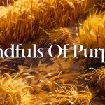 The End Times Laodicean Church Age Archives • Now The End Begins