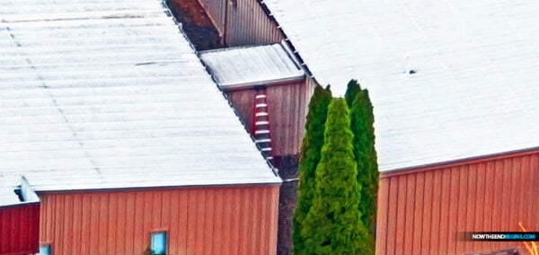 As The Details Of The Trump Shooting Continue To Unfold, We See Thomas ...